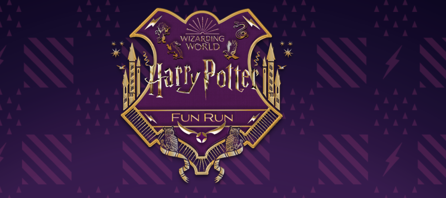 Fandom Box leva magia e colecionáveis para a Harry Potter Fun Run em ...