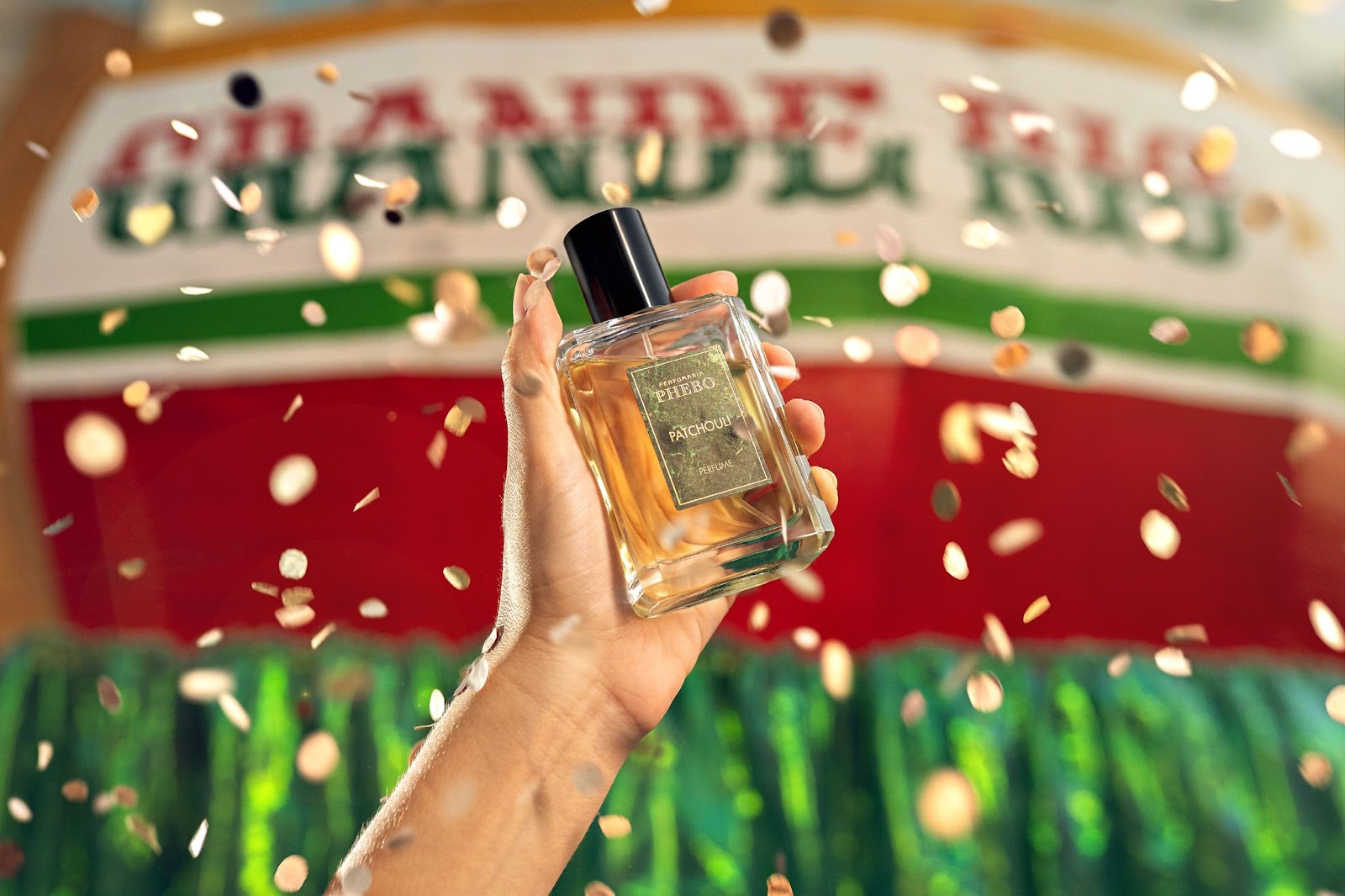 Phebo e Grande Rio levam a essência do Pará ao Desfile das Campeãs com ...