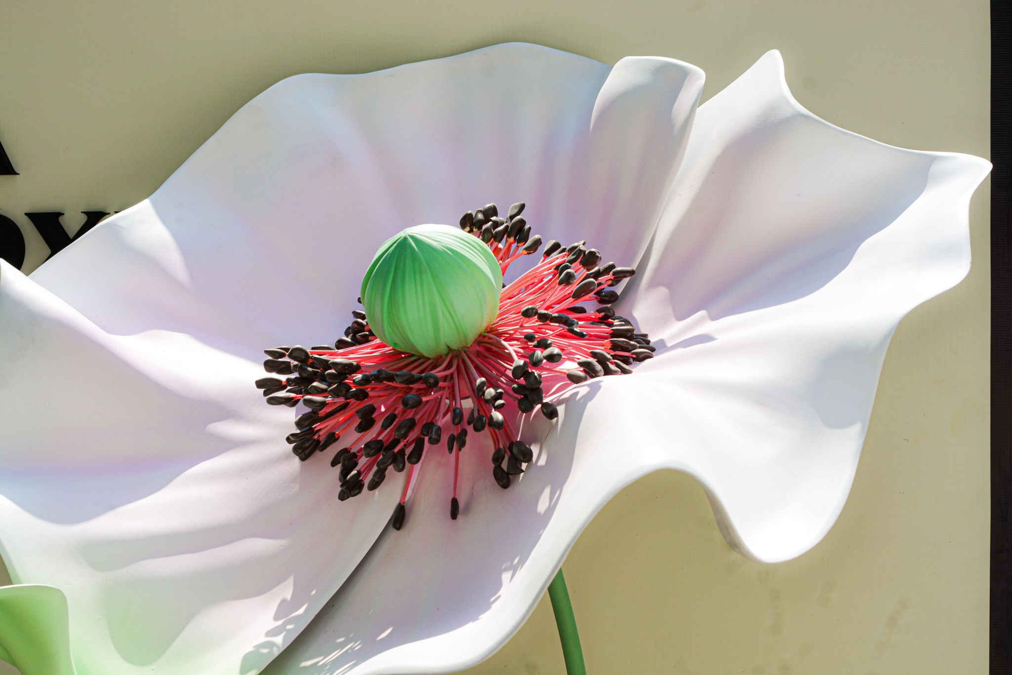 V3A traz para o Brasil a ativação global Prada Flower Market - Live MKT ...