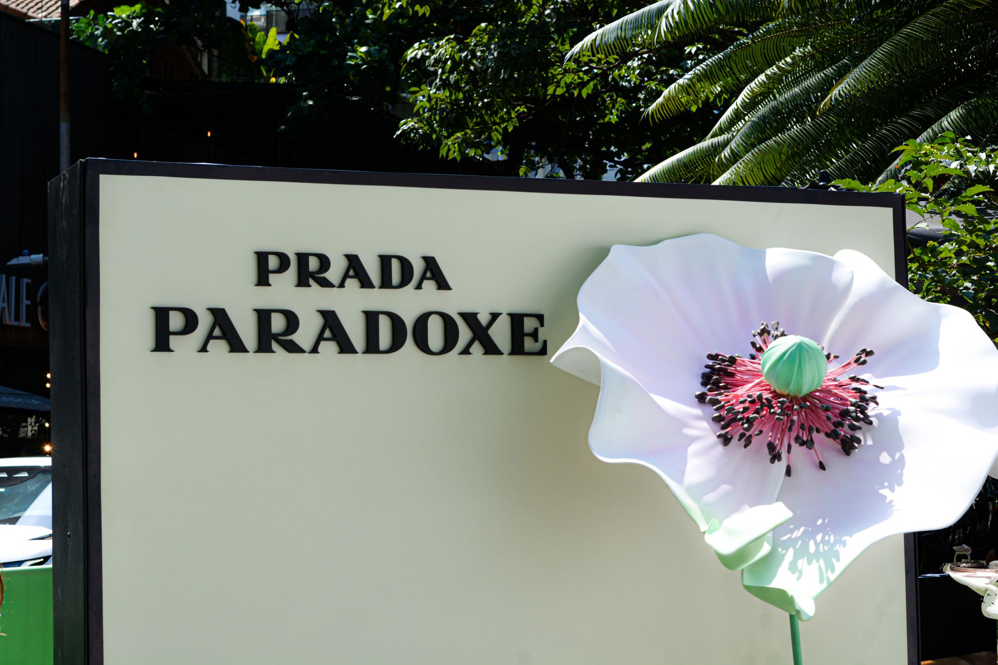 V3A traz para o Brasil a ativação global Prada Flower Market - Live MKT ...